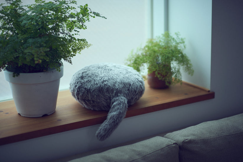 Qoobo – Yukai Engineering Online Store